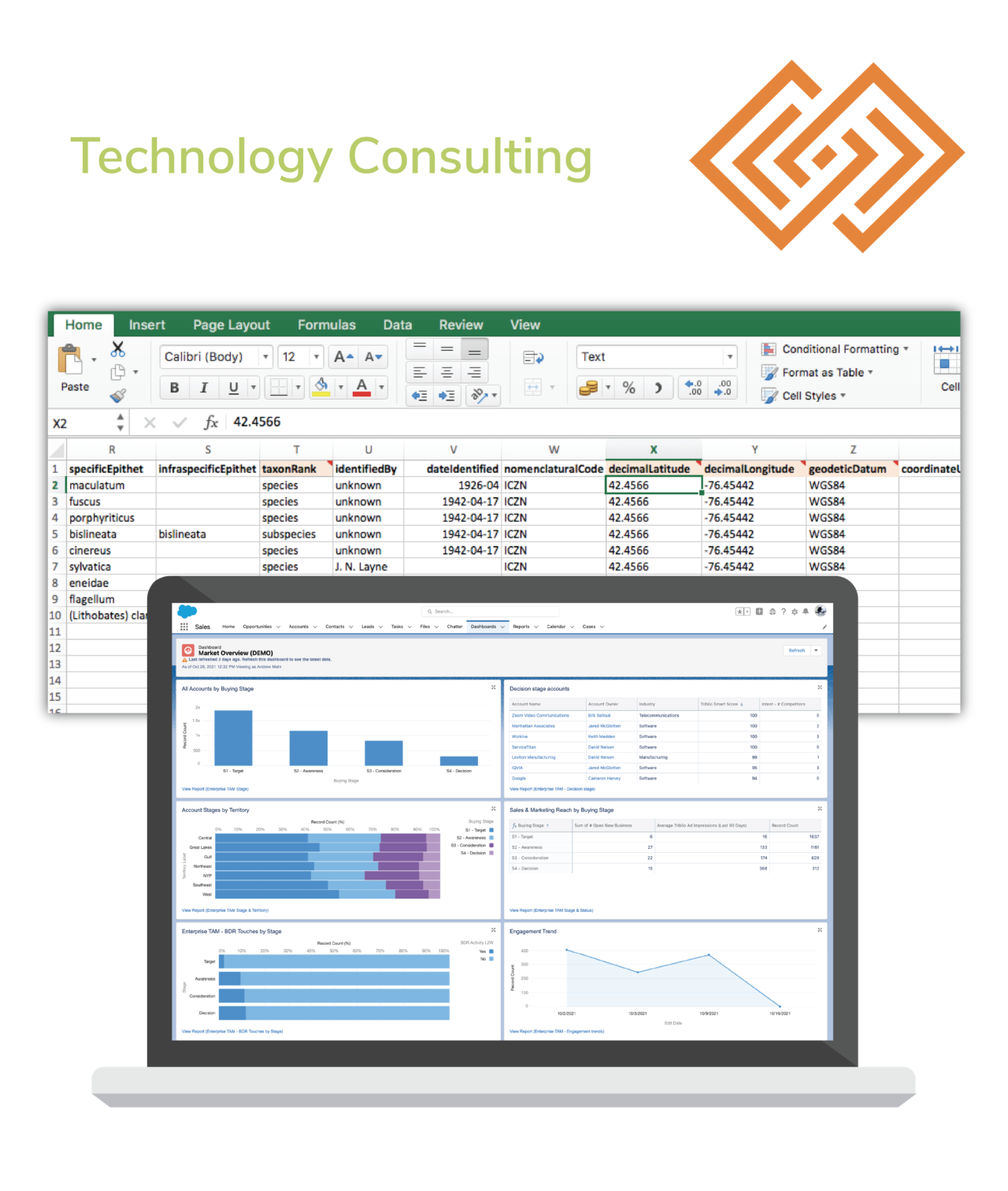 Integrated Media Group: Digital Marketing Agency